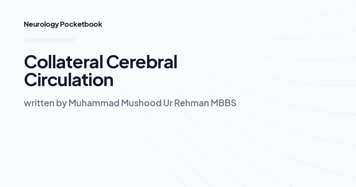 Collateral Cerebral Circulation