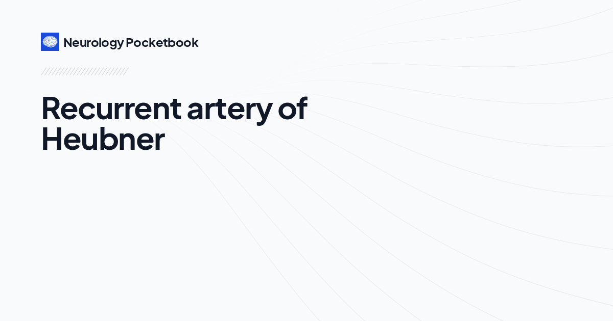 Recurrent artery of Heubner