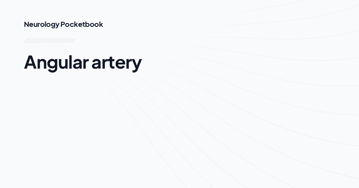 Angular artery