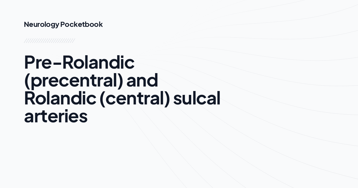 Pre-Rolandic (precentral) and Rolandic (central) sulcal arteries